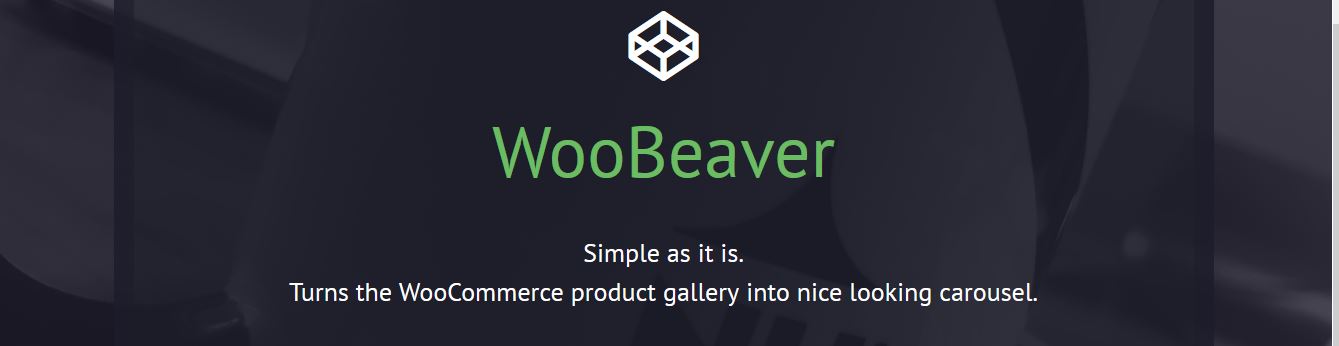 A Full List Of Beaver Builder Addon Plugins